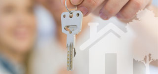 New Forest Homesearch - Home